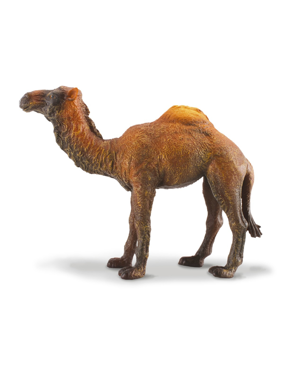 Figurine dromadaire - animaux sauvages Collecta 88208 - Jouet réplique ...