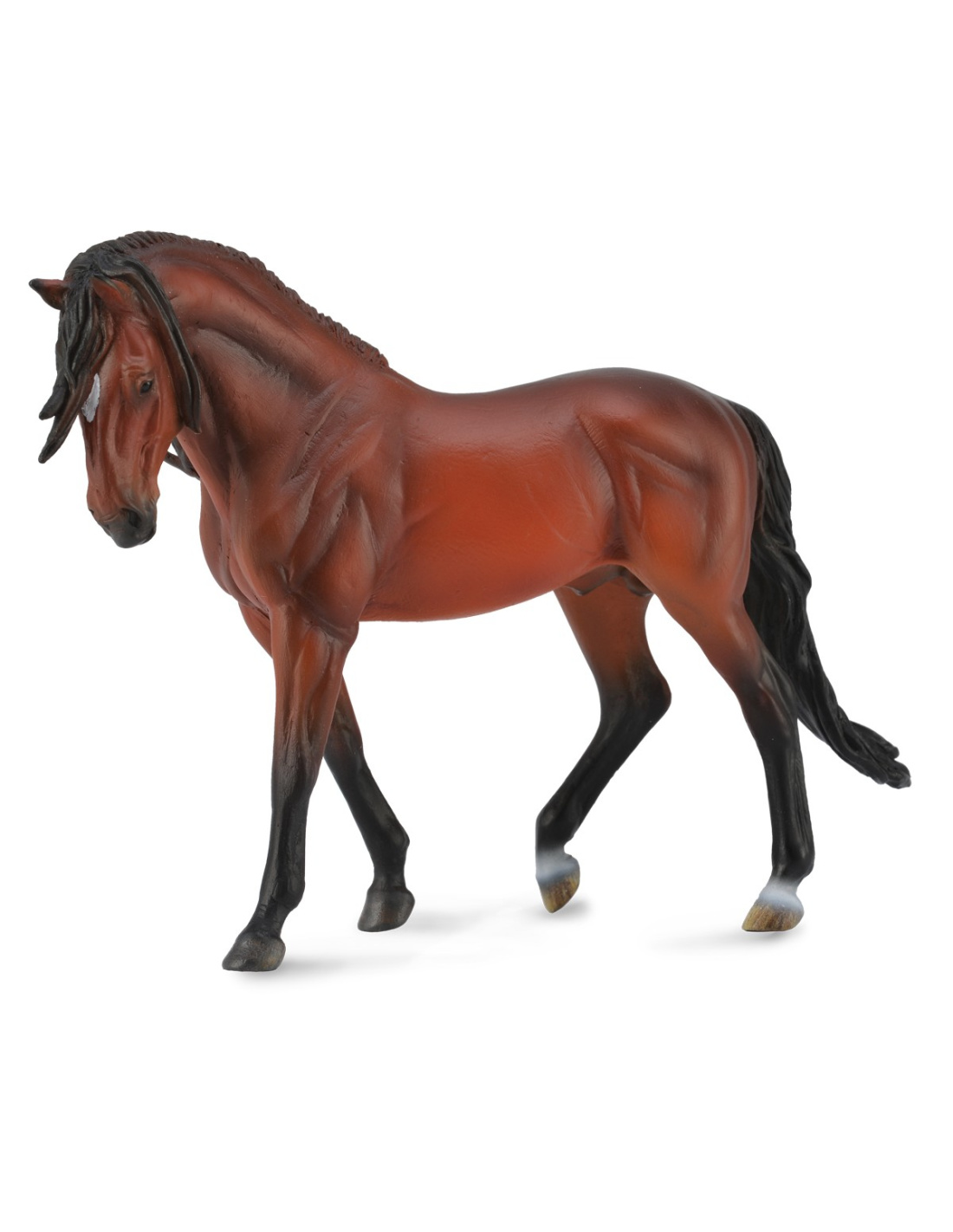 Figurine cheval étalon andalou bright bay Collecta 88630 | Jouet ...