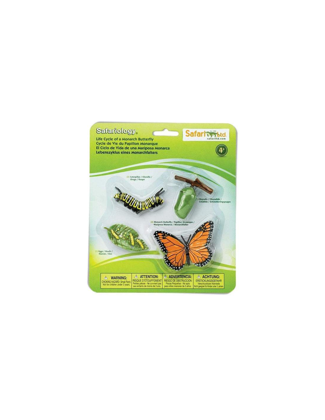Cycle de vie du papillon Safari Ltd - 4 Figurines éducatives réalistes