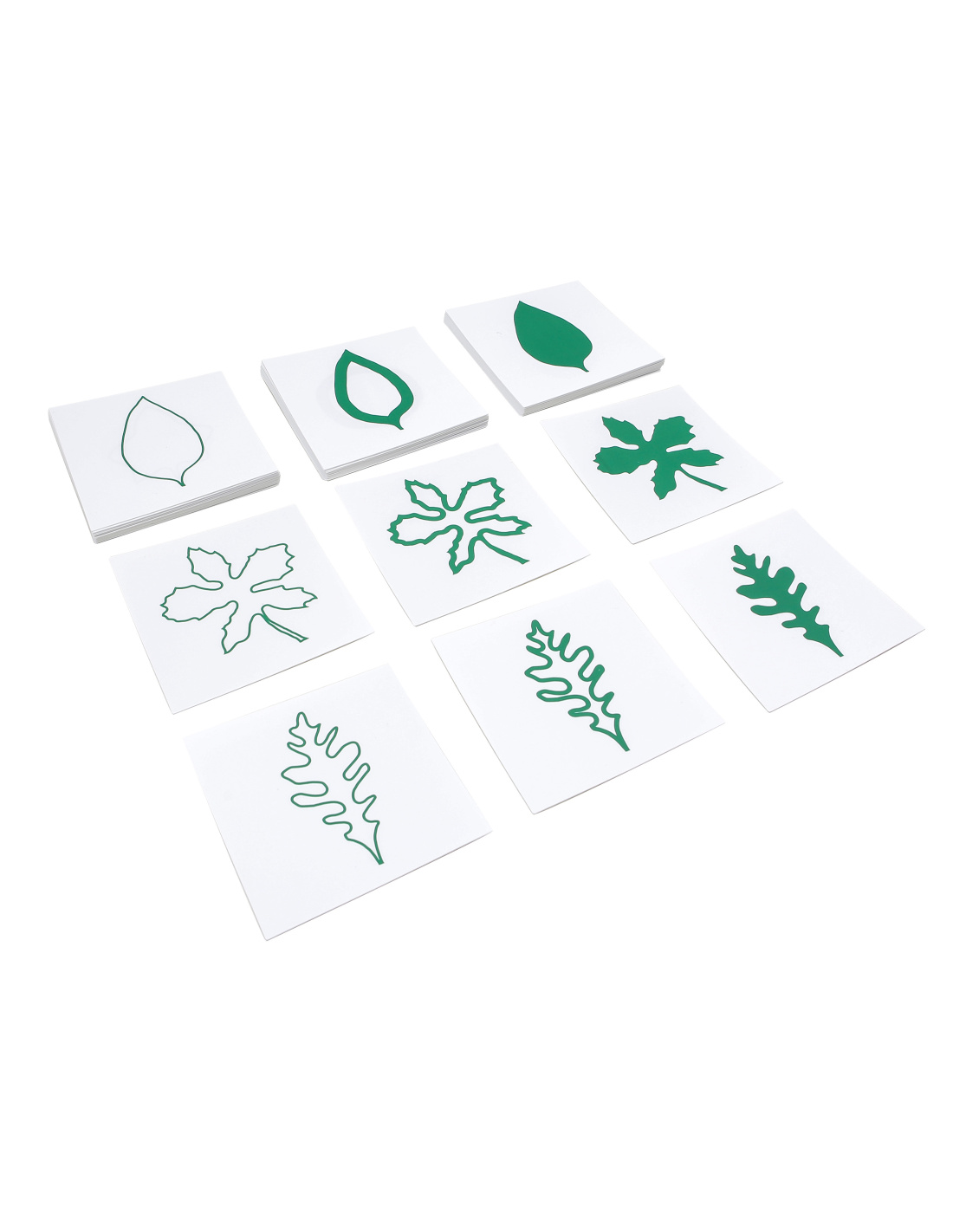 Cartes des Formes de Feuilles Montessori | 3 Séries de 24 | Botanique 3 ...