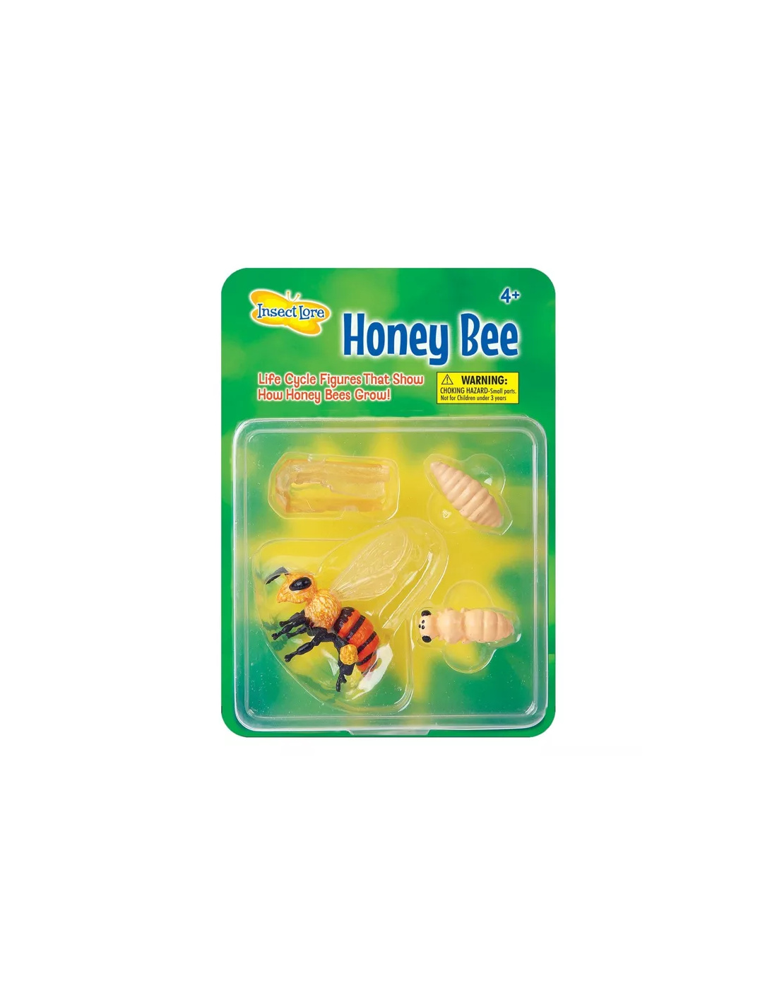 Figurines du Cycle de Vie des Abeilles - 4 Pièces Éducatives