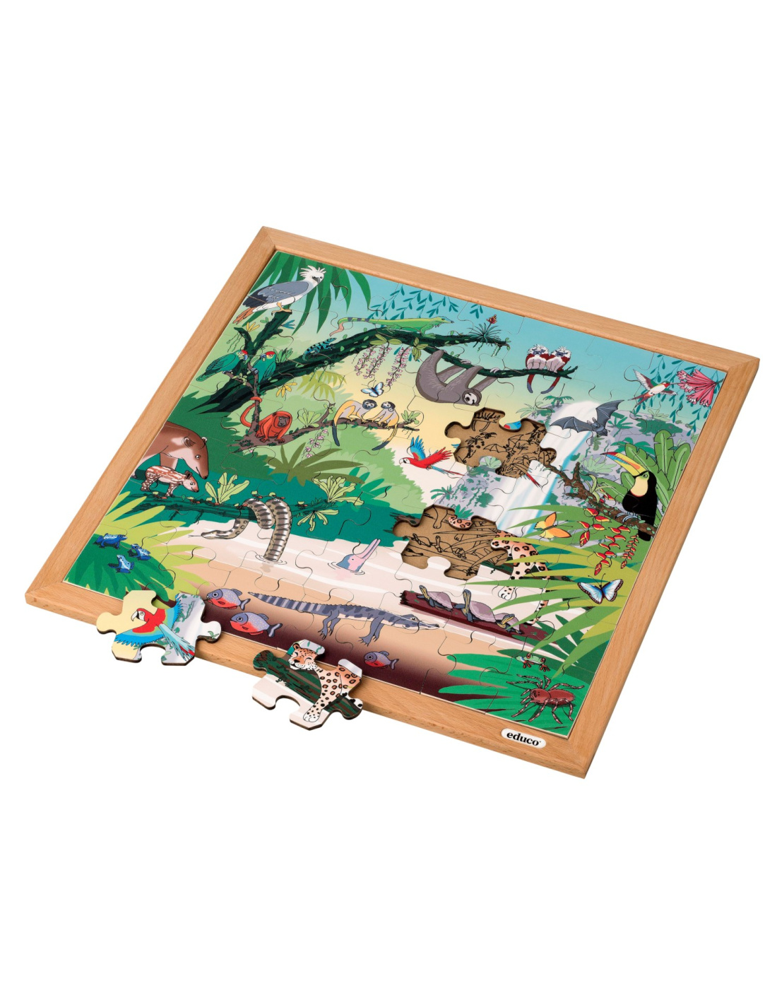 Puzzle les animaux de la Forêt Tropicale | Jeu Vocabulaire Enfant 4 ans+