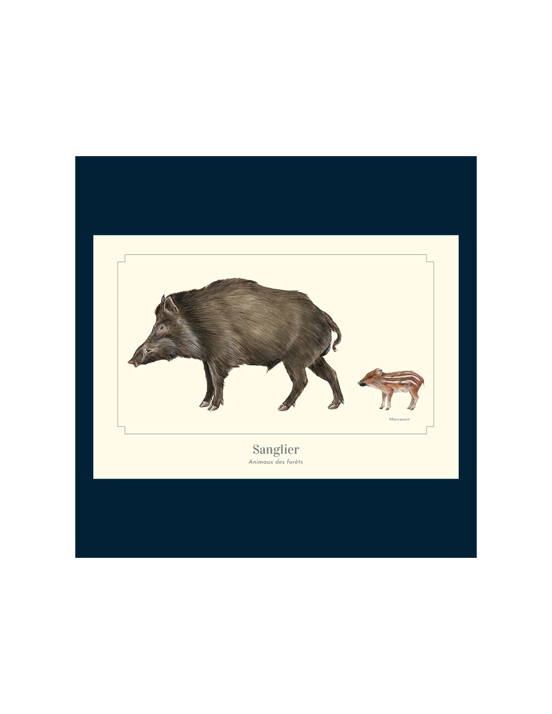 Carte Montessori Sanglier – Sus scrofa & marcassin
