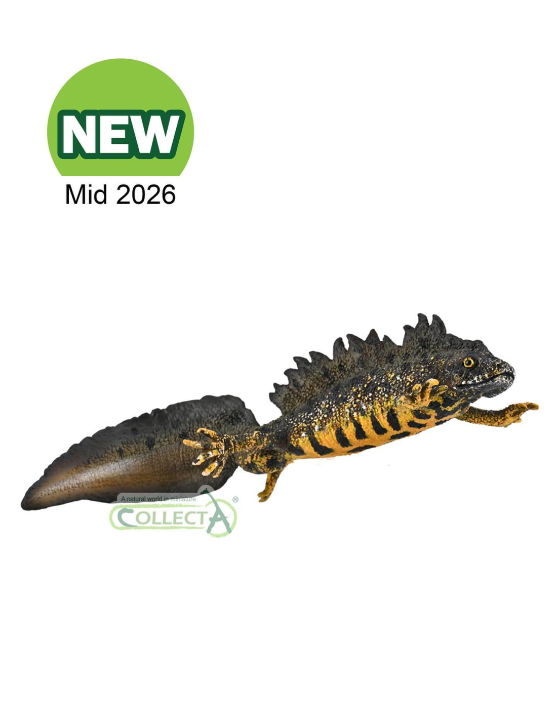 Triton à Crête CollectA 2026 - Figurine Amphibien Aquatique