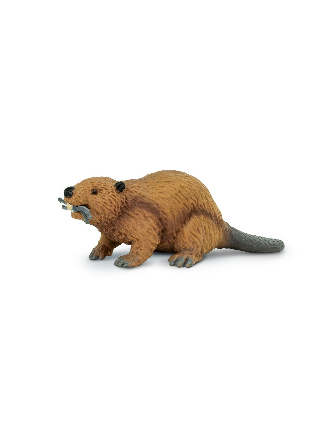 Figurine Castor - Safari Ltd® 283629 | Jouet réaliste | Matériel ...