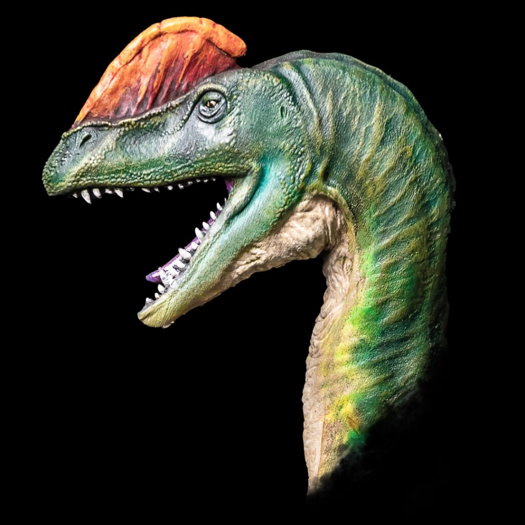 Dilophosaurus : Fiche pédagogique du Dinosaure à Double Crête