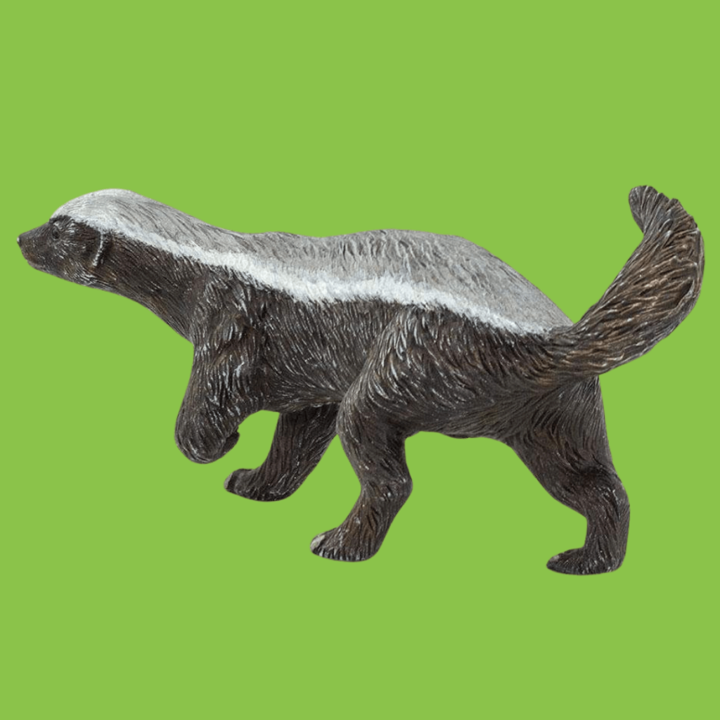 Le Ratel (Mellivora capensis) : Un fascinant chapardeur | Lesminis.fr