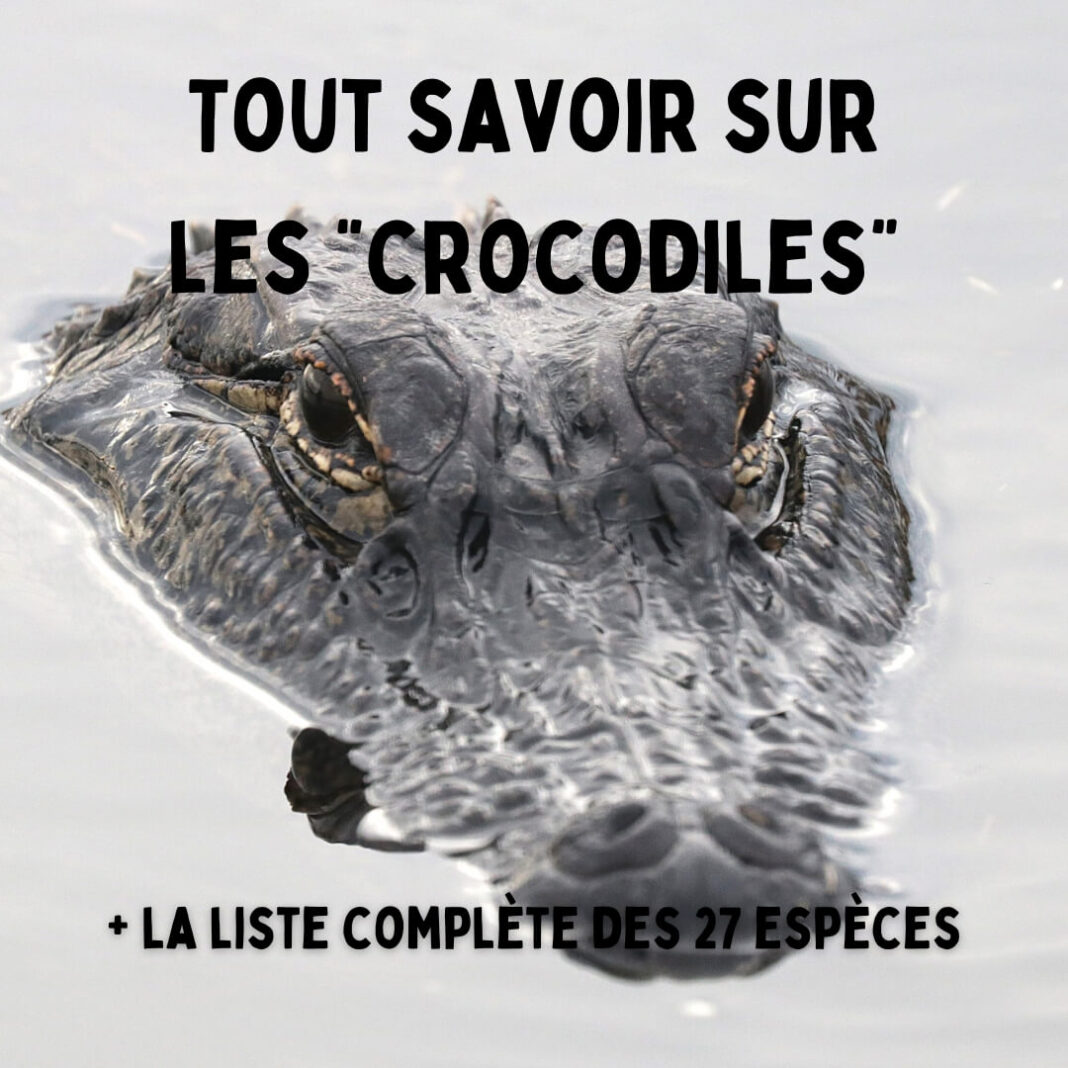 Les crocodiliens : voyage au cœur de 200 millions d'années d'évolution ...