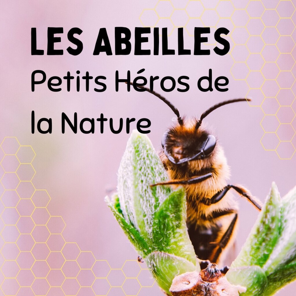 Les Abeilles : Petits Héros de la Nature | Guide Complet