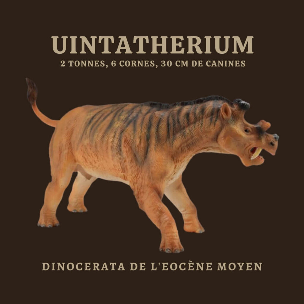 Uintatherium : Découvrez le Mammifère Fossile aux Canines de Sabre